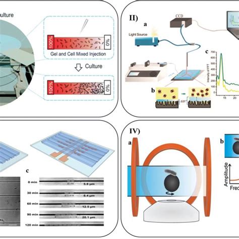 Progress In Antibiotic Susceptibility Tests A Comparative Review With Special Emphasis On
