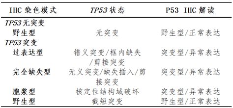 子宫内膜癌免疫组化p53判读 尖端生物科技