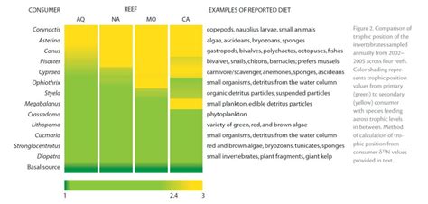 What Does This Symbol Mean R Solidworks