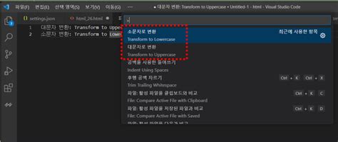 Vscode에서 텍스트 대소문자 변환하는 방법