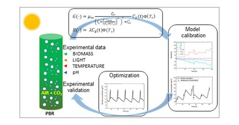 Model Based Optimization Of Microalgae Growth In A Batch Plant