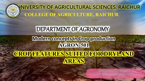 Crop Production For Dryland Crops And Their Suitability Pptx Agriculture Industries