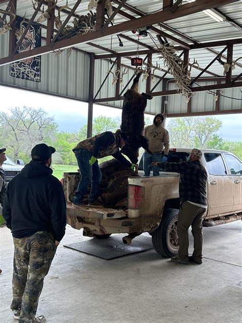 The Hunting Game Added A New Photo The Hunting Game The Hunting Game Added A New Photo The Hunting Game