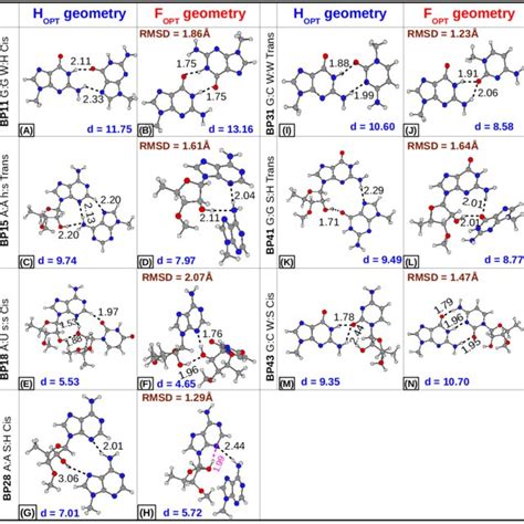 Secondary Structure Of Entire Sra Lncrna Based On Shape And In Line Download Scientific