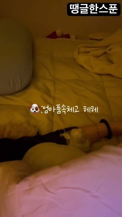 땡글한스푼 엄마품속체고 2탄 Youtube