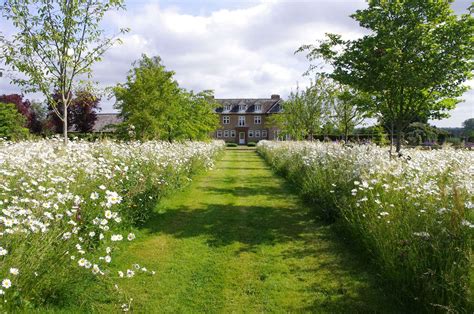 Creating A Wildflower Meadow Nicholsons Garden Design