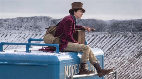 Timothée Chalamet Tem 7 Números Musicais Em Wonka