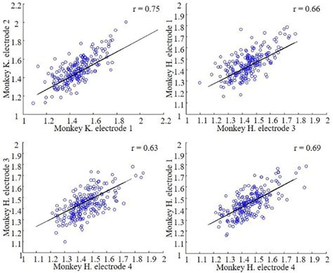 Correlations Of The Average Medium Gamma Response To Each Stimulus On