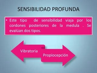 1 Cuidado De Enfermeria En La Valoracion Del Sistema Nervioso Pdf
