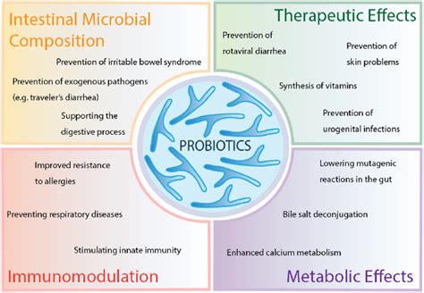 Beneficial Health Effects Of Probiotic Bacteria On Human Health Data Download Scientific