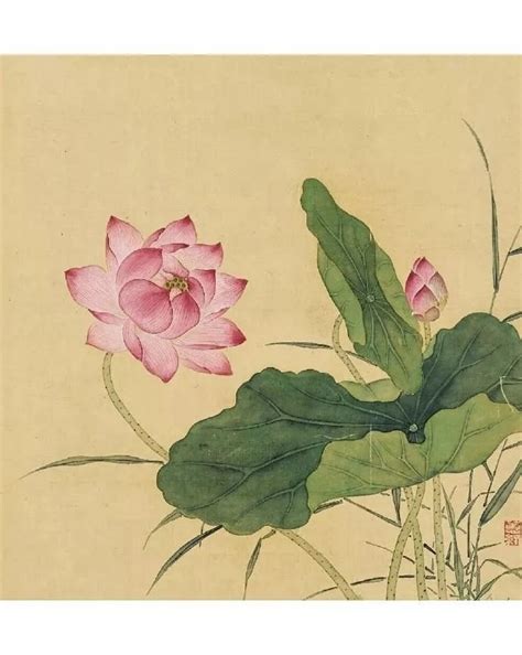 全齐了 历代名家画莲花，一次看个够！