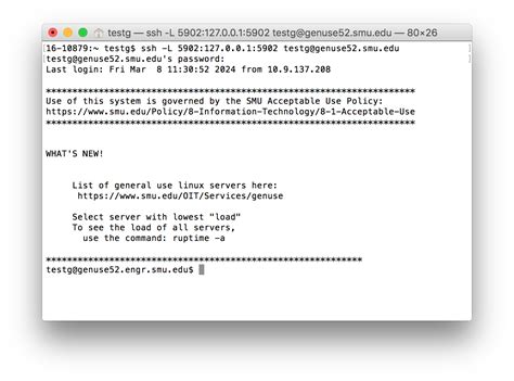 Graphical Applications With Vnc Macos