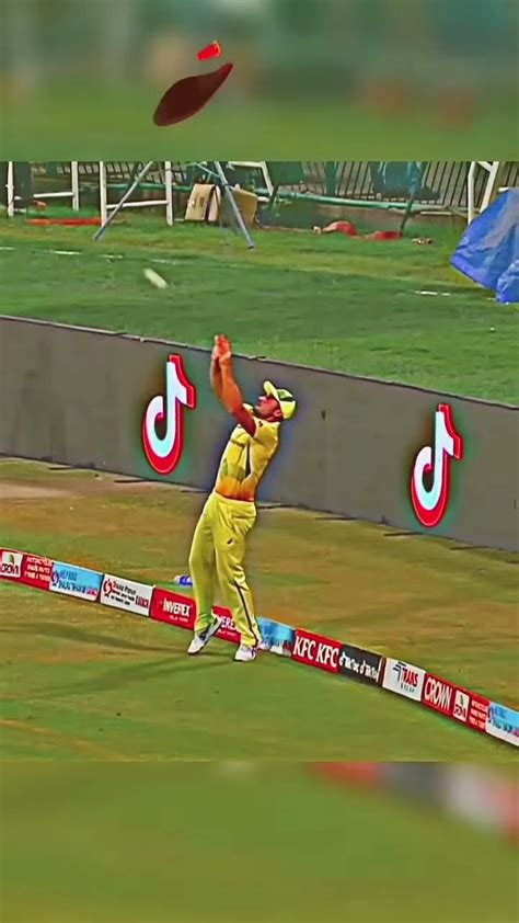 Stonis Don It 🔥 Youtube