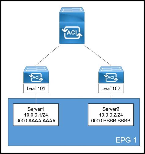 DCACI Cisco Free Updated Questions Free Latest Dumps For IT Certification Exams