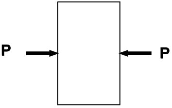 A Specimen In Compression Download Scientific Diagram