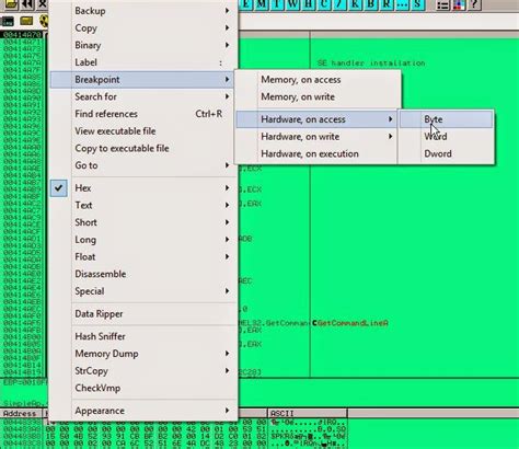 Reverse Engineering Tips Unpacking Jar2Exe 2 1 Extracting The Jar File At All 3 Protection Levels