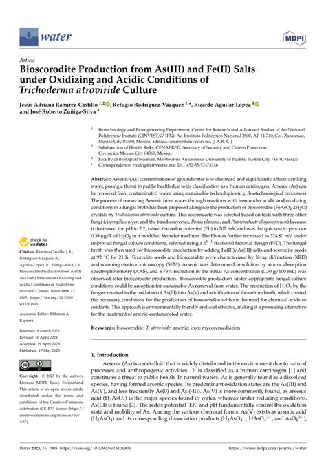 Pdf Bioscorodite Production From As Iii And Fe Ii Salts Under