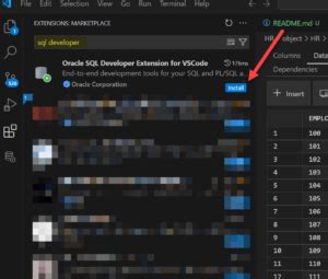 Oracle SQL Developer VS Code Primer Plus Some Tips Tricks