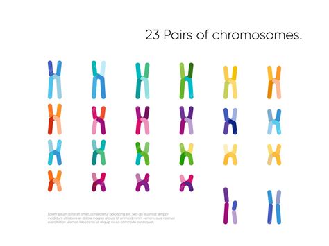 premium vector genomic data visualization