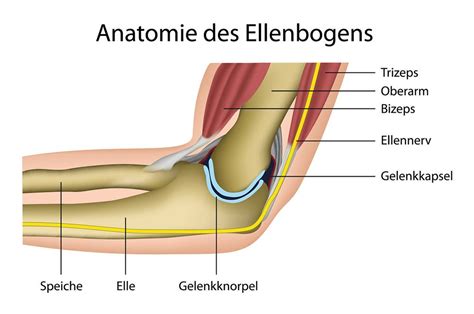 Ellenbogen Orthopädie Unfallchirurgie