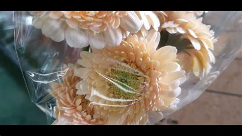 마가 생화 인터넷꽃도매시장 생화택배 생화도매 인터넷꽃시장 인터넷꽃도매 장미대량구매 꽃 꽃다발 꽃도매 꽃시장 부산꽃시장 김해꽃시장 꽃쇼핑몰 김해꽃 부산꽃 꽃싸게사는법