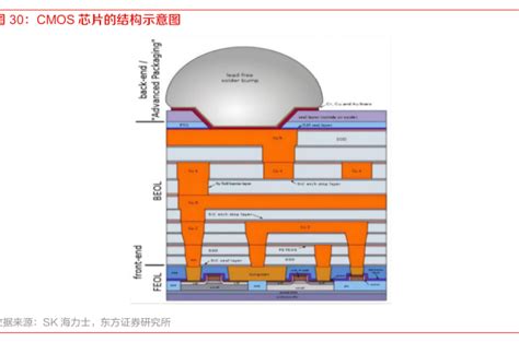全球物联网终端连接数量发展趋势图 2024年12月 行业研究数据 小牛行研