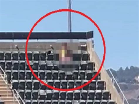 Couple Intimate Inside Sports Stadium During Live Match Of Baseball