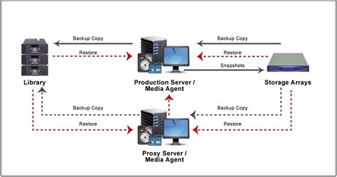 컴볼트코리아 넷앱 스토리지용 데이터 보호 솔루션 출시