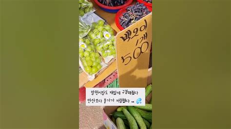 망원동 빵투어 🍞 어글리베이커리 망원시장 딸기 엄마표 김밥 망원동 빵지순례 Youtube