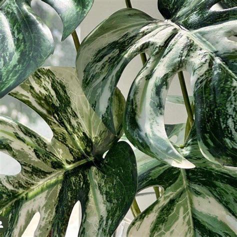 내 마케팅 비결 스친들에게만 공개할게 마케팅이 하나도 모르겠는 자영업스친이나 이제 막 온라인을 시작하는 스친에게도 큰 도움 될거야 이분 스레드를 예전꺼부터 쭉 읽어봐