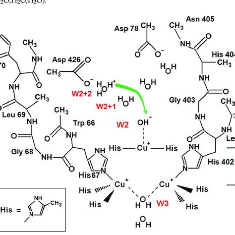 Dft Calculations Model Chosen For A Proton Transfer Green Arrow Along Download Scientific