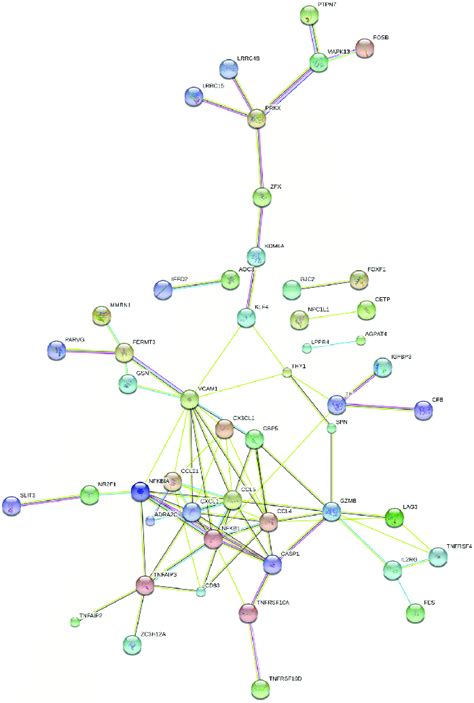 Associations Between Degs And Predicted Tfs Diagram Of The Network Of