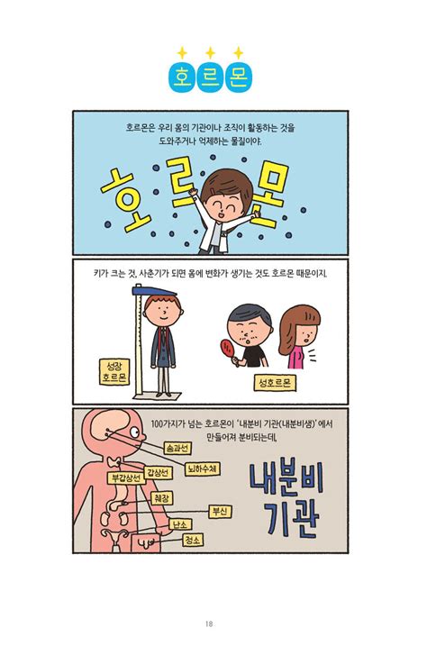 알라딘 미리보기 의사 어벤저스 13 내분비 질환 호르몬이 문제야