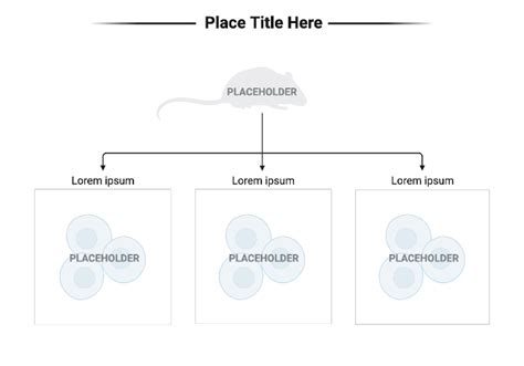 Flow Diagram 2 Levels Vertical BioRender Science Templates