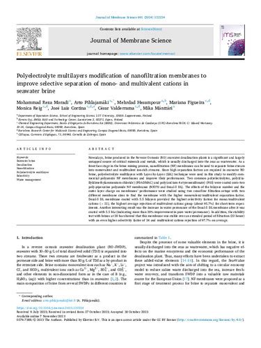 Polyelectrolyte Multilayers Modification Of Nanofiltration Membranes To Improve Selective