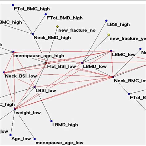 ann semantic connectivity map showing the different strength values of