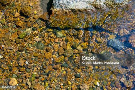 맑은 물 층 아래 강 바닥에있는 작은 돌 돌에서 배경 물과 돌의 질감 0명에 대한 스톡 사진 및 기타 이미지 0명 강