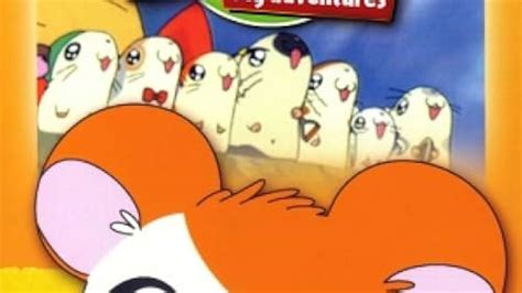 Hamtaro Tv Series 20002006 Episode List Imdb