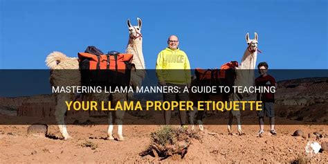 Mastering Llama Manners A Guide To Teaching Your Llama Proper Etiquette PetShun