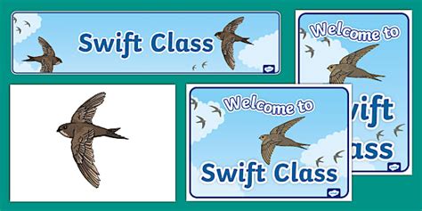 Swift Class Display Pack Professor Feito Twinkl