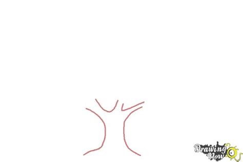 How To Draw A Realistic Tree