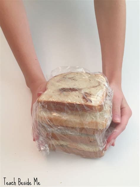 Sedimentary Rocks Fossil Experiment Sedimentary Rocks Sedimentary