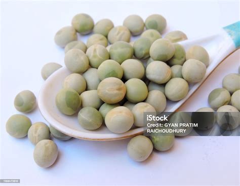 마른 녹색 완두콩 씨앗 완두콩은 가장 일반적으로 작은 구형 종자 또는 포드 과일 Pisum Sativum의 종자 포드입니다 그것은 널리 다양한 인도 요리에 사용됩니다 건강