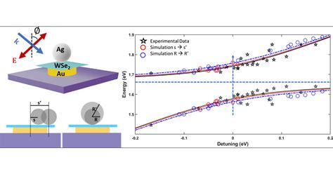 Polarization Independent Plasmon Exciton Strong Coupling In A