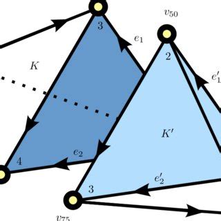 2 Two Adjacent Tetrahedra Will Always Agree On The Direction Of A
