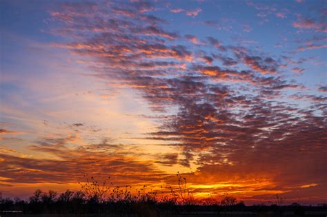 Michelle Voth Carriage Factory Art Gallery