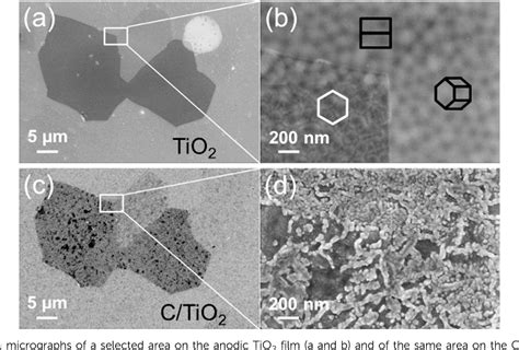 Figure 2 From Fabrication Of Ti Substrate Grain Dependent C Tio2 Composites Through Carbothermal