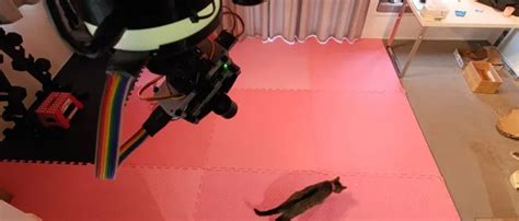 Entertain Your Cats Automatically With Lazerpaw Pishop Blog