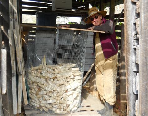 Do It Yourself Easy Corn Crib