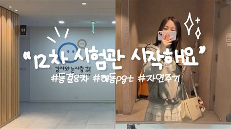 ᴠʟᴏɢ💉ㅣ 드디어 12차 시험관 시 작 4년째 시험관 중 해동pgt 동결 8차 이식 준비 난임브이로그 시험관vlog Youtube